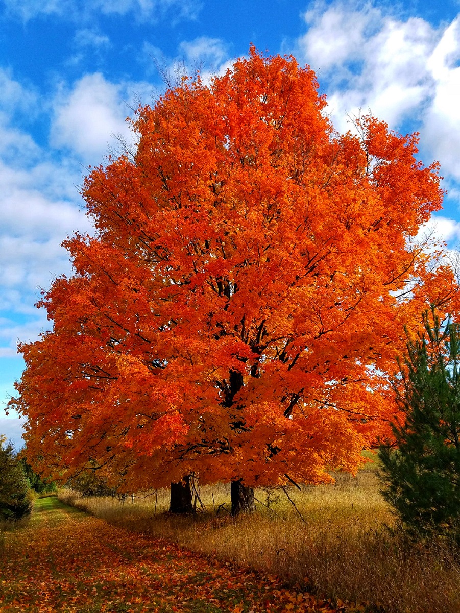 Pic of the Day - Josh Stein Land